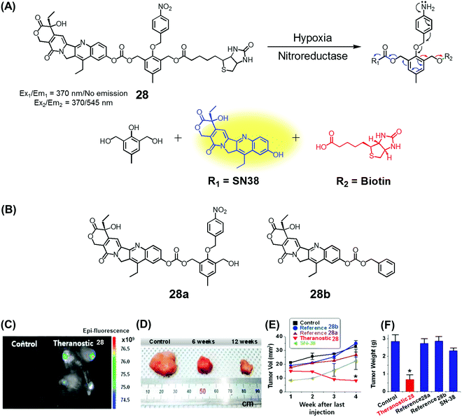 Fluorogenic reaction-based prodrug conjugates as targeted cancer ...
