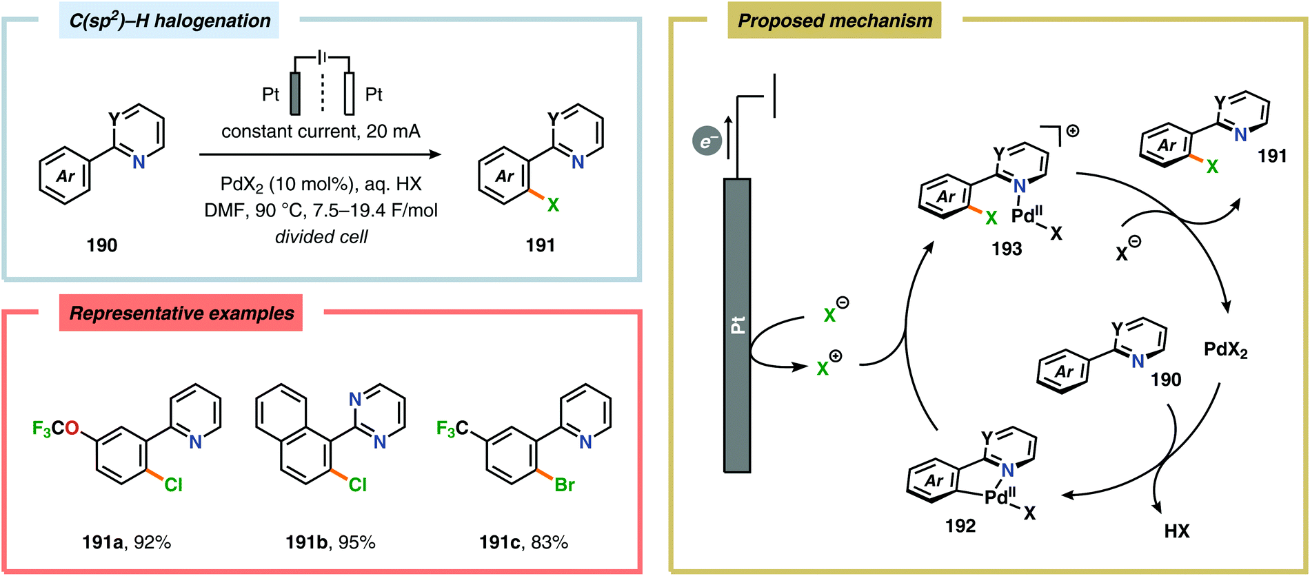 Electrochemical strategies for C–H functionalization and C–N bond ...