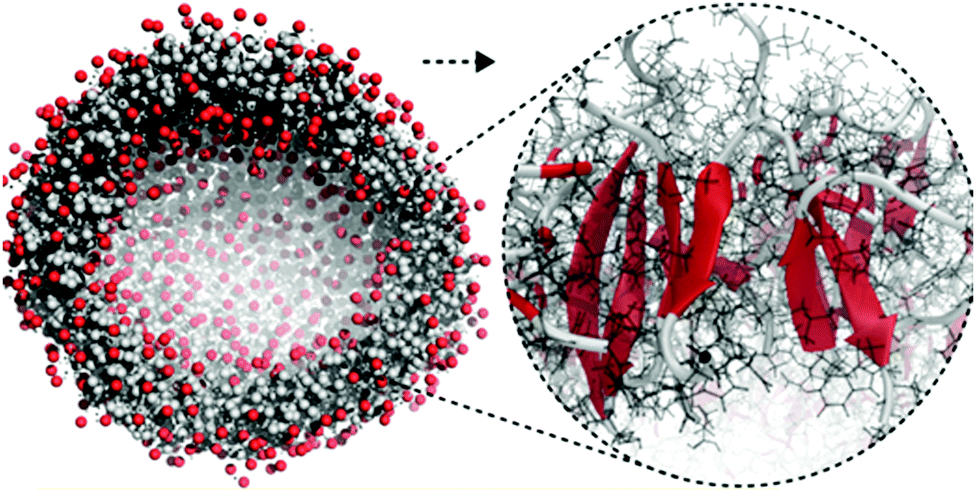 Molecular simulations of self-assembling bio-inspired supramolecular ...