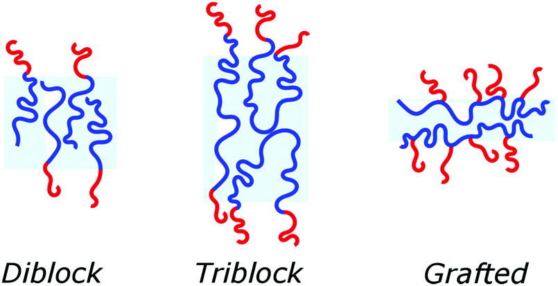 Liposomes and polymersomes: a comparative review towards cell mimicking ...