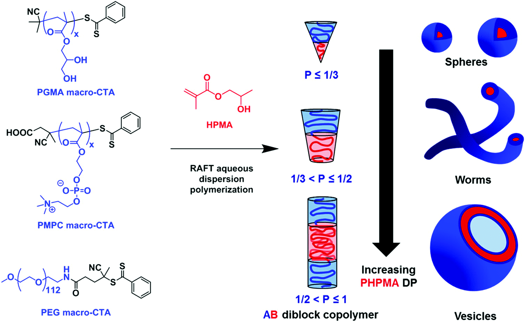 Liposomes and polymersomes: a comparative review towards cell mimicking ...