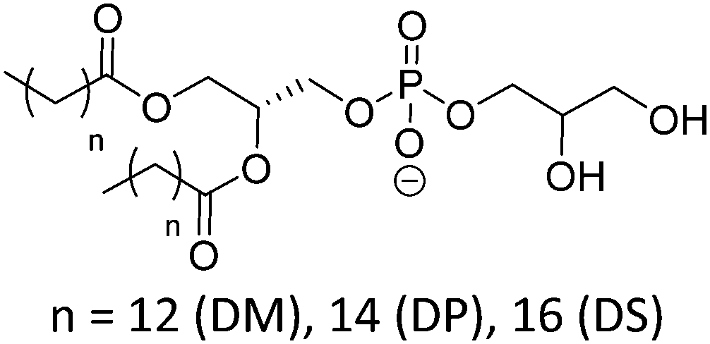 Liposomes and polymersomes: a comparative review towards cell mimicking ...