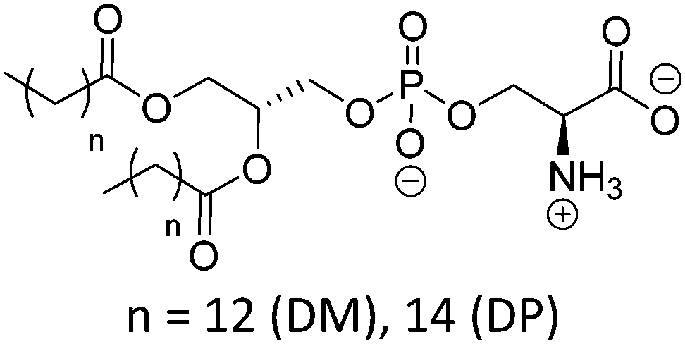 Liposomes and polymersomes: a comparative review towards cell mimicking ...