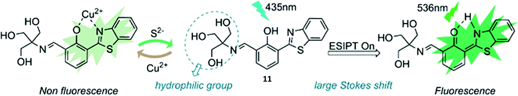 Excited-state intramolecular proton-transfer (ESIPT) based fluorescence ...