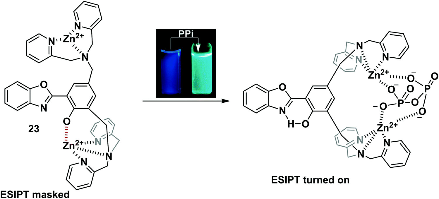 Excited-state intramolecular proton-transfer (ESIPT) based fluorescence ...