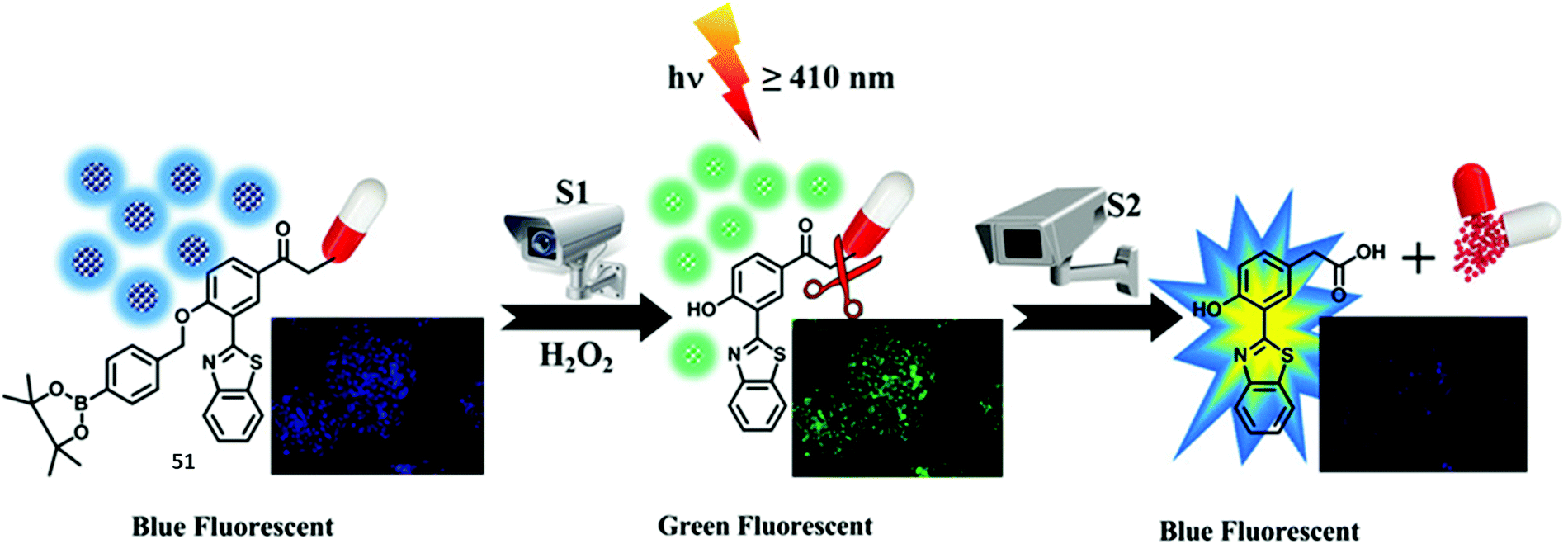 Excited-state intramolecular proton-transfer (ESIPT) based fluorescence ...