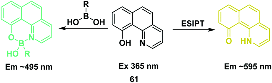 Excited-state intramolecular proton-transfer (ESIPT) based fluorescence ...
