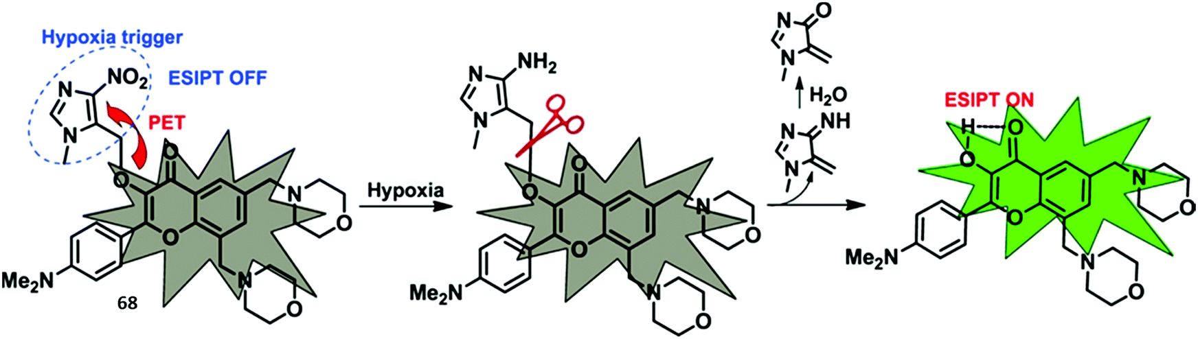 Excited-state intramolecular proton-transfer (ESIPT) based fluorescence ...