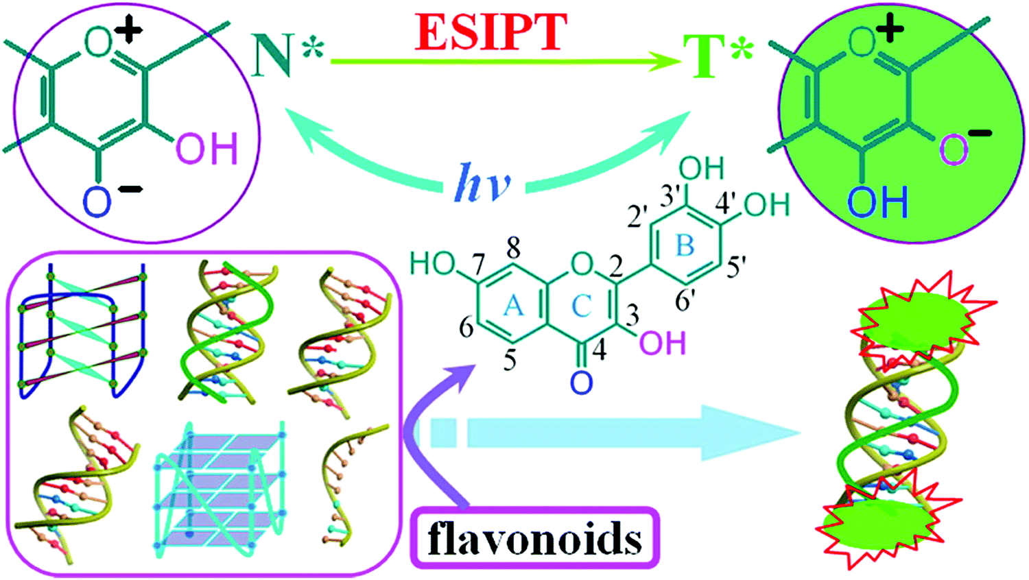 Excited-state intramolecular proton-transfer (ESIPT) based fluorescence ...
