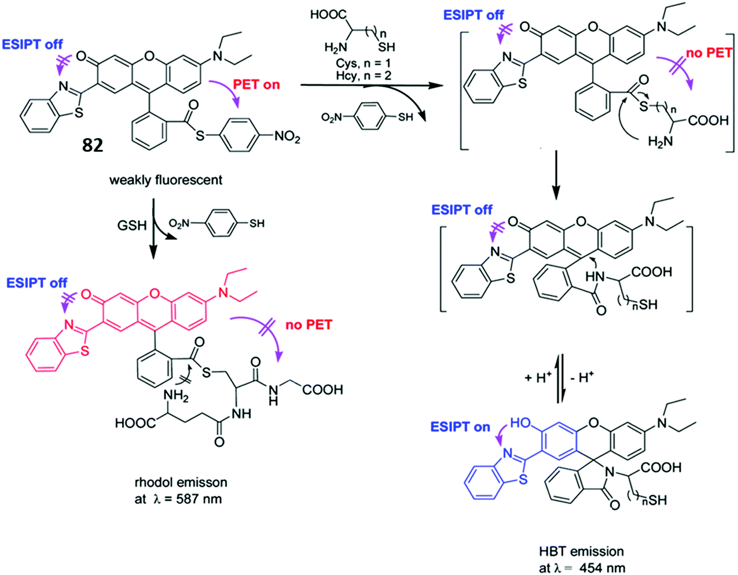 Excited-state intramolecular proton-transfer (ESIPT) based fluorescence ...