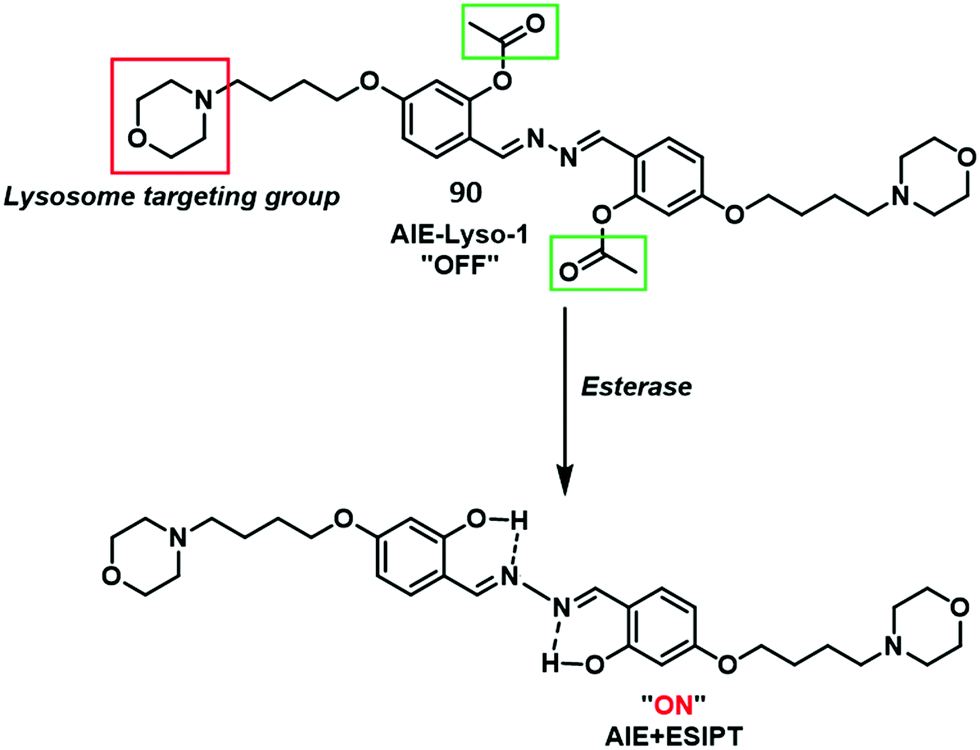 Excited-state intramolecular proton-transfer (ESIPT) based fluorescence ...