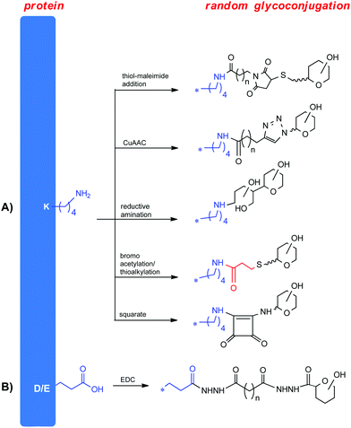 Antimicrobial glycoconjugate vaccines: an overview of classic and ...