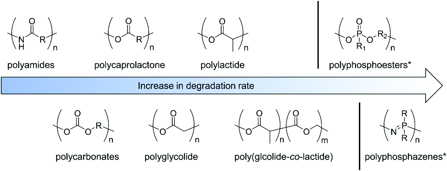 Functional biodegradable polymers via ring-opening polymerization of ...