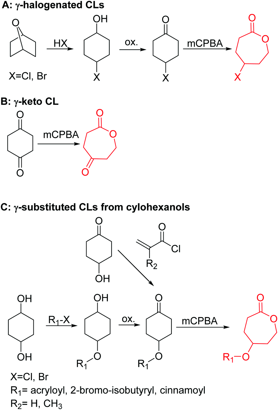 Functional biodegradable polymers via ring-opening polymerization of ...