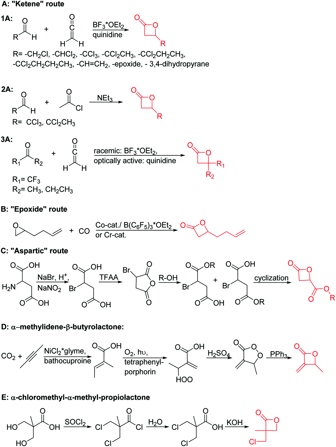 Functional biodegradable polymers via ring-opening polymerization of ...