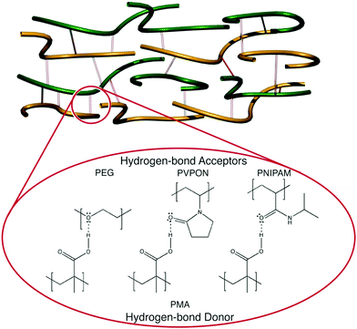 Correction: Engineered hydrogen-bonded polymer multilayers: from ...