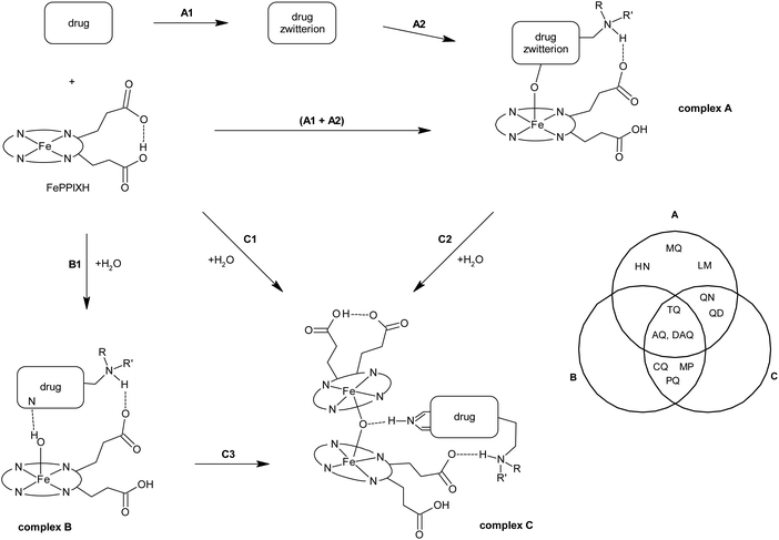 Computational insights into the inhibition of β-haematin ...