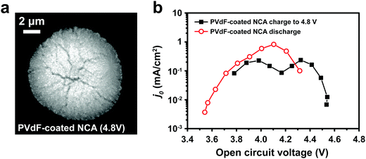 Single-particle measurements of electrochemical kinetics in NMC and NCA ...