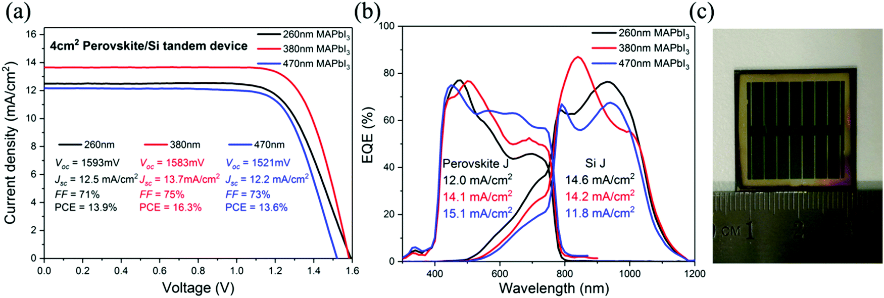 Large area efficient interface layer free monolithic perovskite/homo ...