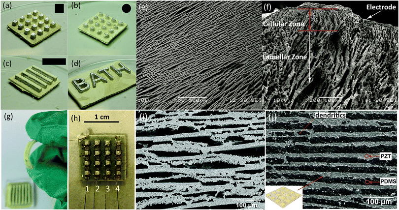 Flexible and active self-powered pressure, shear sensors based on ...