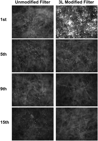Cellulose-based water purification using paper filters modified with ...