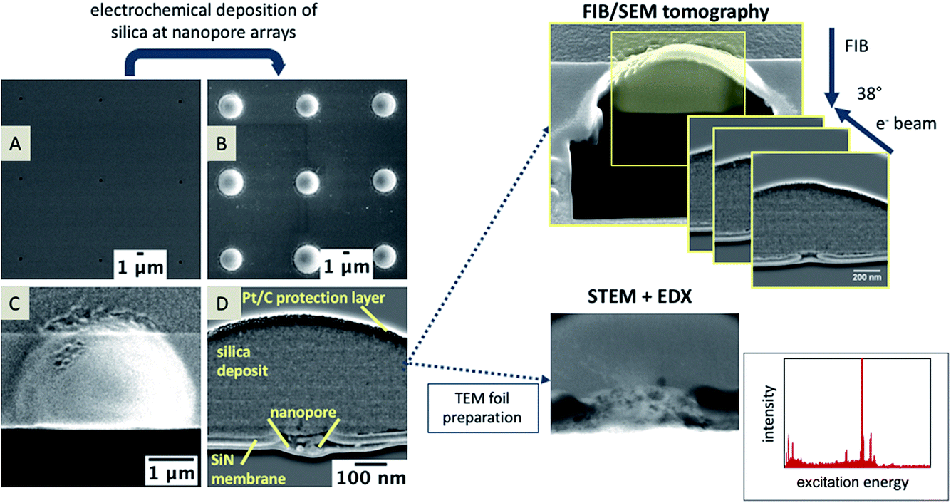 Investigation of modified nanopore arrays using FIB/SEM tomography ...