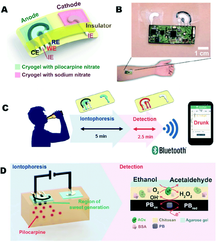 Wearable sensors: modalities, challenges, and prospects - Lab on a Chip ...