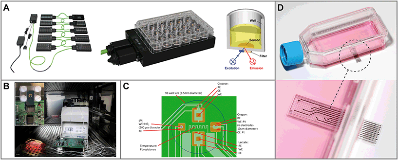 Microsensor systems for cell metabolism – from 2D culture to organ-on ...
