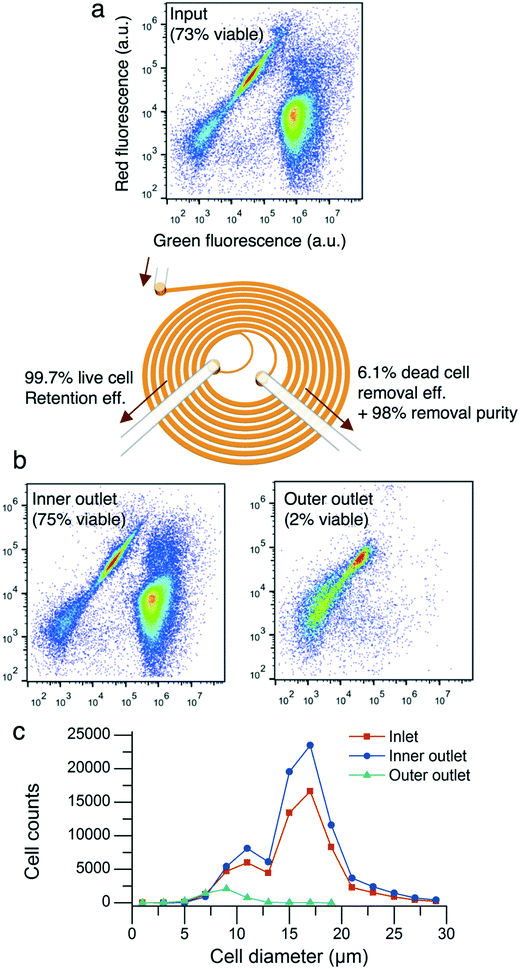 Continuous removal of small nonviable suspended mammalian cells and ...