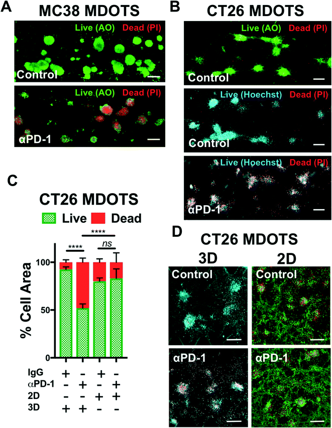 3D microfluidic ex vivo culture of organotypic tumor spheroids to model ...