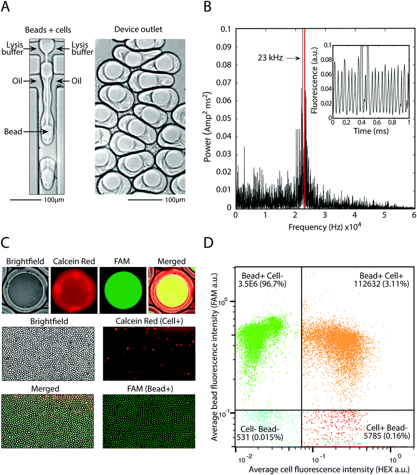 Microfluidic bead encapsulation above 20 kHz with triggered drop ...