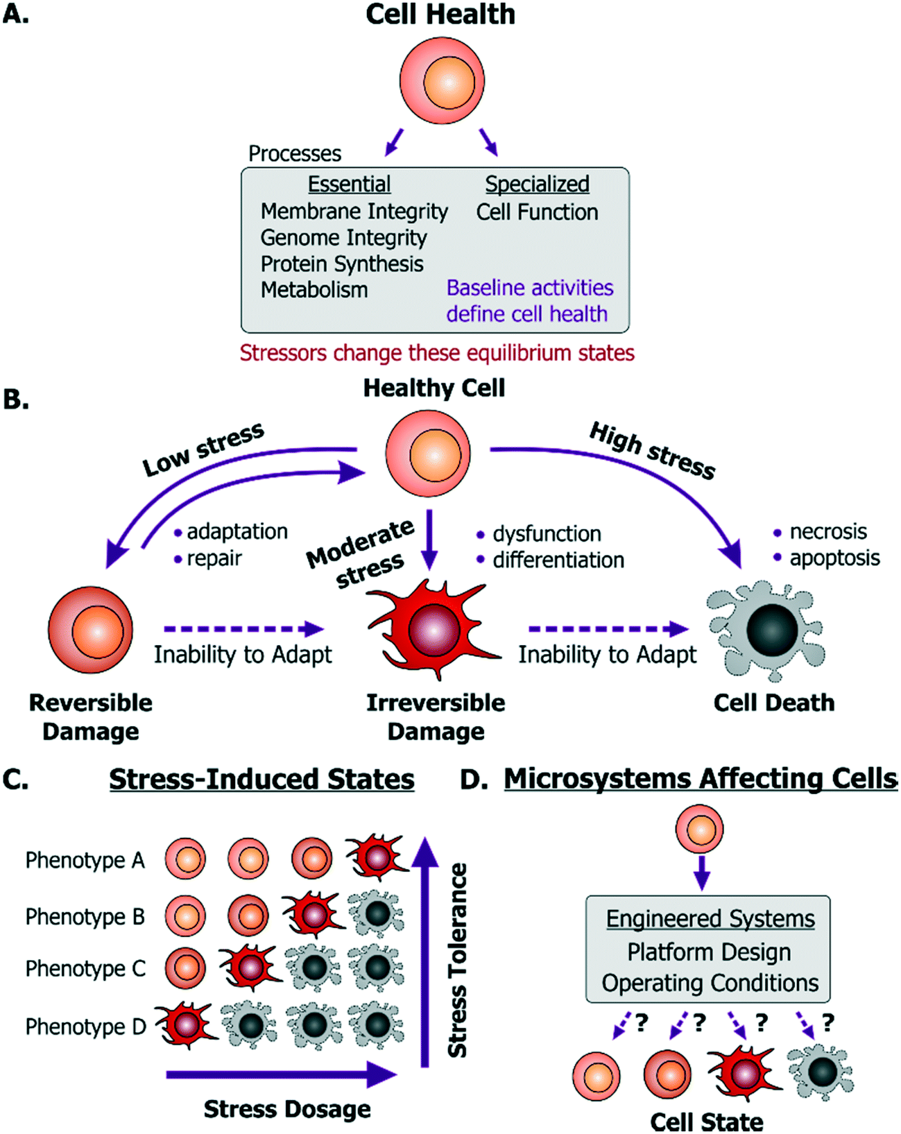 Caring for cells in microsystems: principles and practices of cell-safe ...