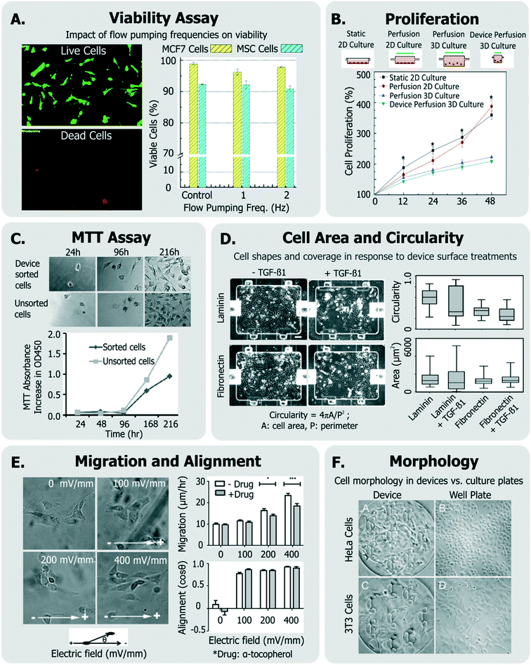 Caring for cells in microsystems: principles and practices of cell-safe ...