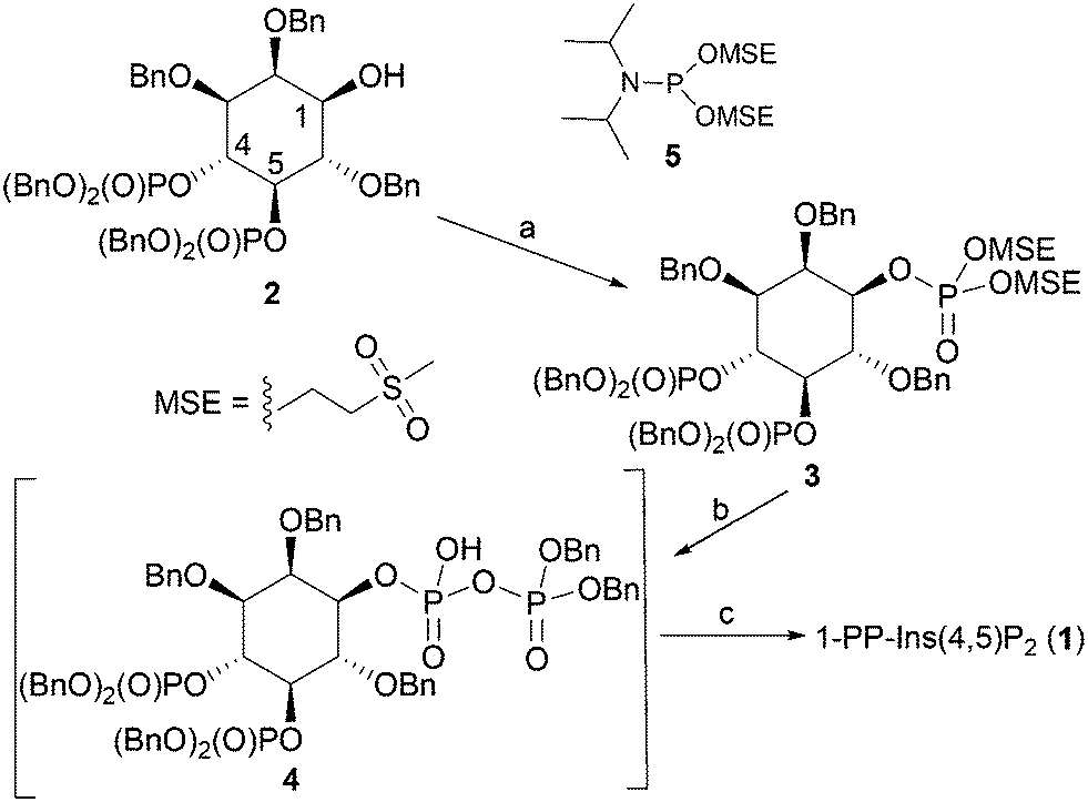 A synthetic diphosphoinositol phosphate analogue of inositol ...