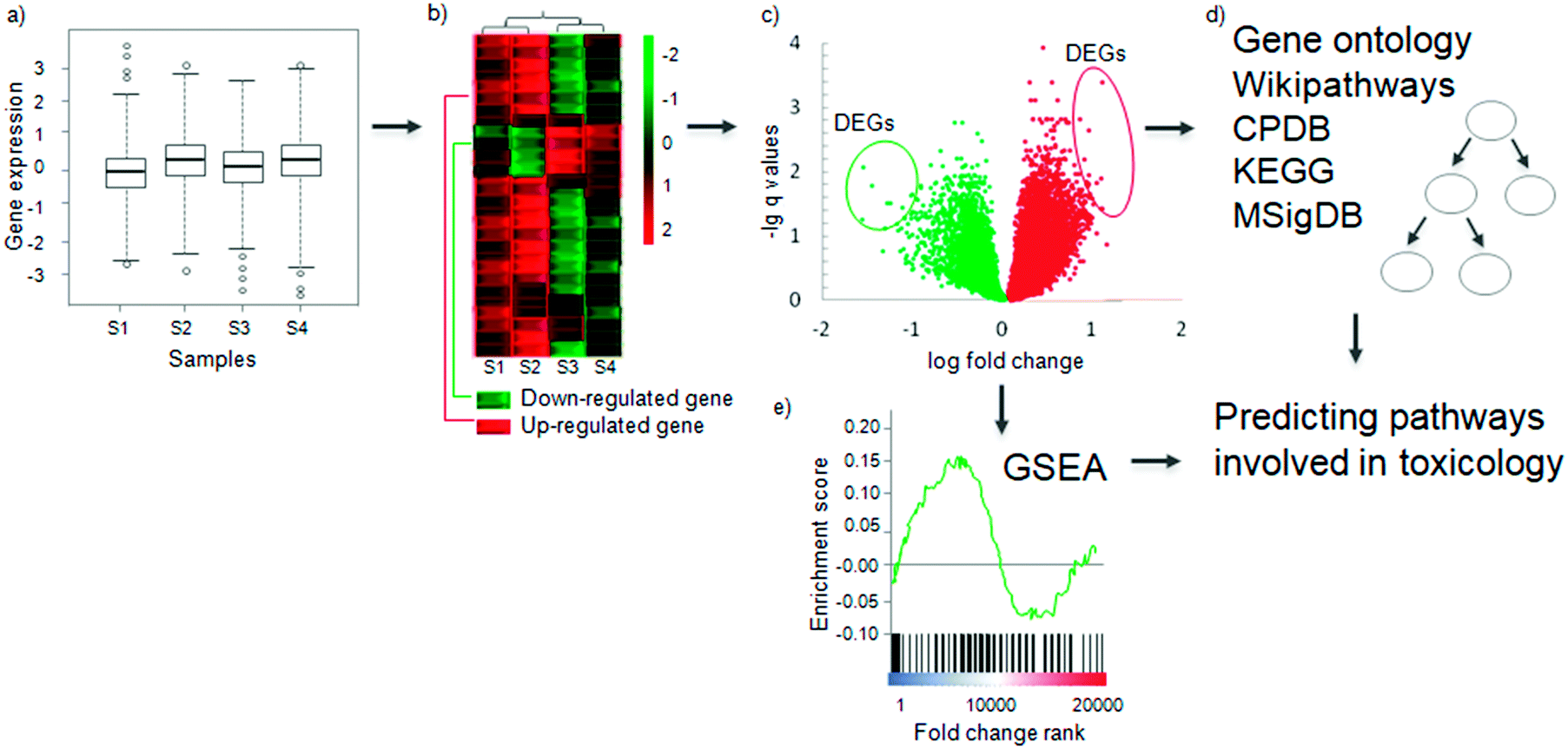 Developments in toxicogenomics: understanding and predicting compound ...