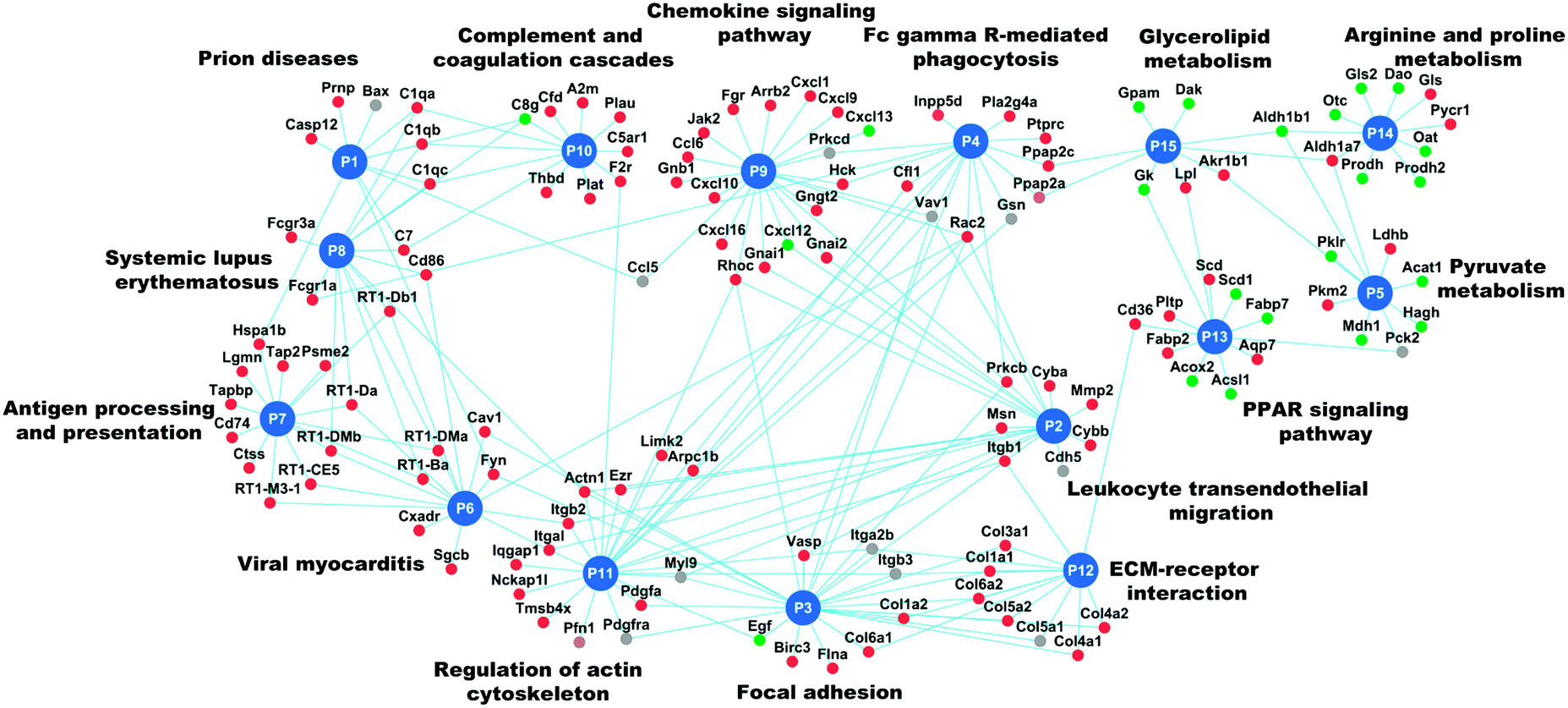 Developments in toxicogenomics: understanding and predicting compound ...