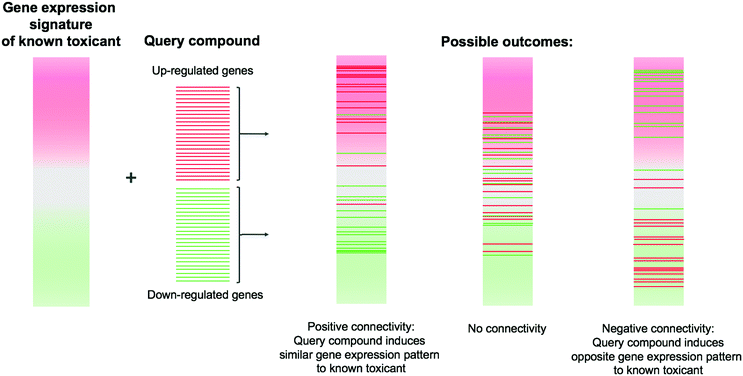 Developments in toxicogenomics: understanding and predicting compound ...
