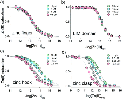 Interdependence of free zinc changes and protein complex assembly ...