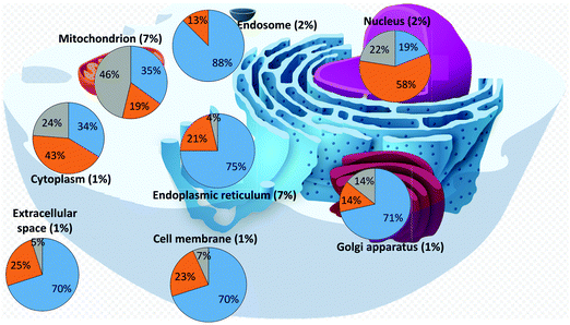 The human iron-proteome - Metallomics (RSC Publishing) DOI:10.1039 ...
