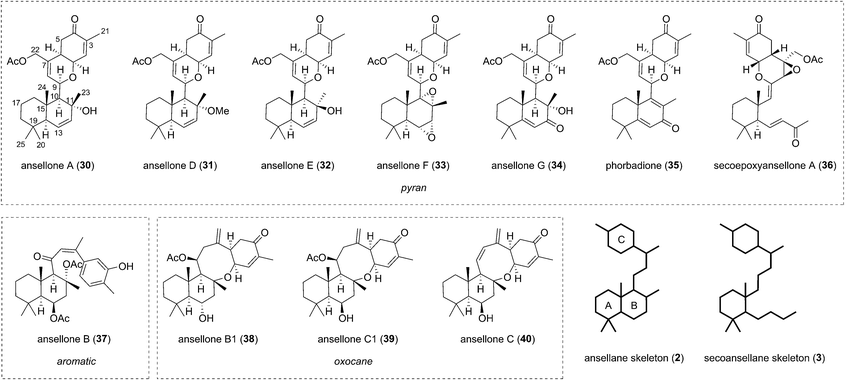 A new family of sesterterpenoids isolated around the Pacific Rim ...