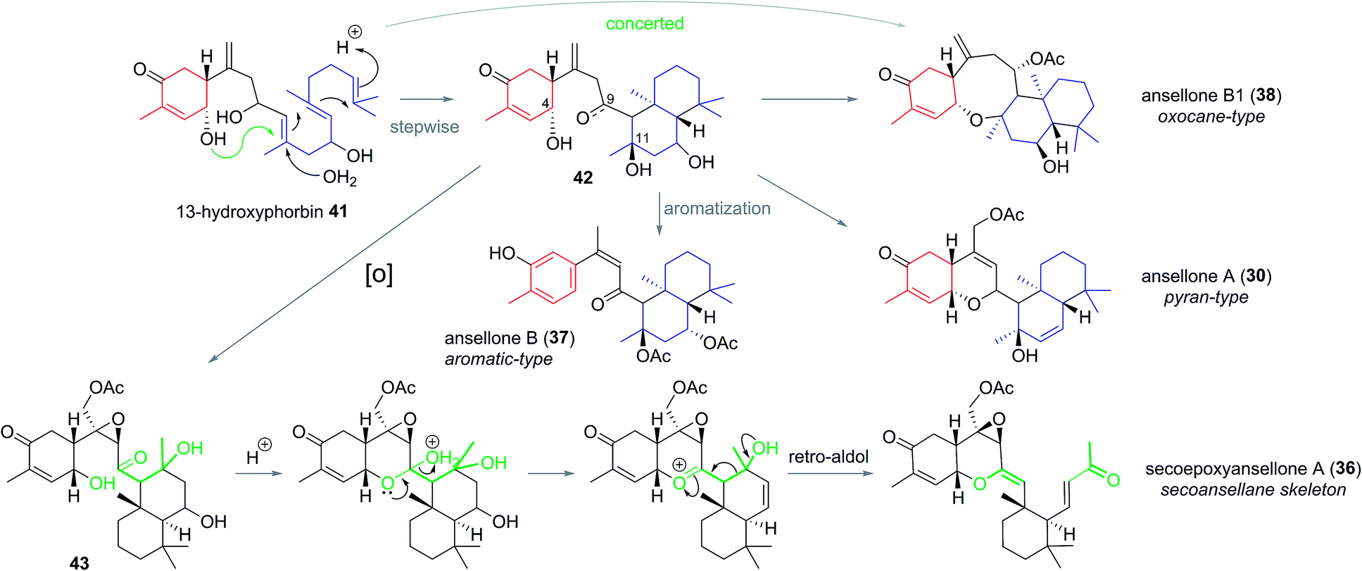 A new family of sesterterpenoids isolated around the Pacific Rim ...