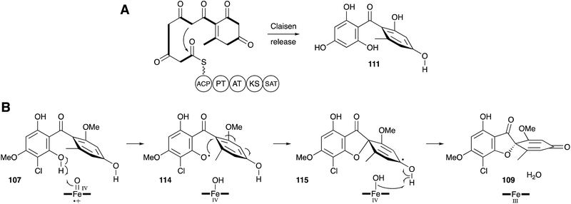 Classic fungal natural products in the genomic age: the molecular legacy of Harold Raistrick ...