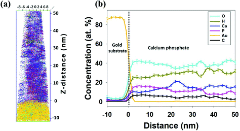 Atomically resolved calcium phosphate coating on a gold substrate ...