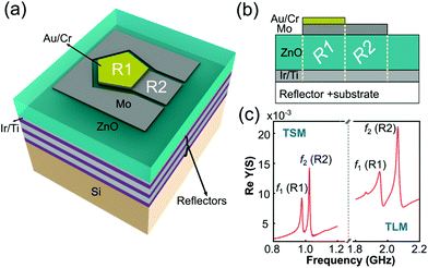 Split resonances for simultaneous detection and control measurements in ...