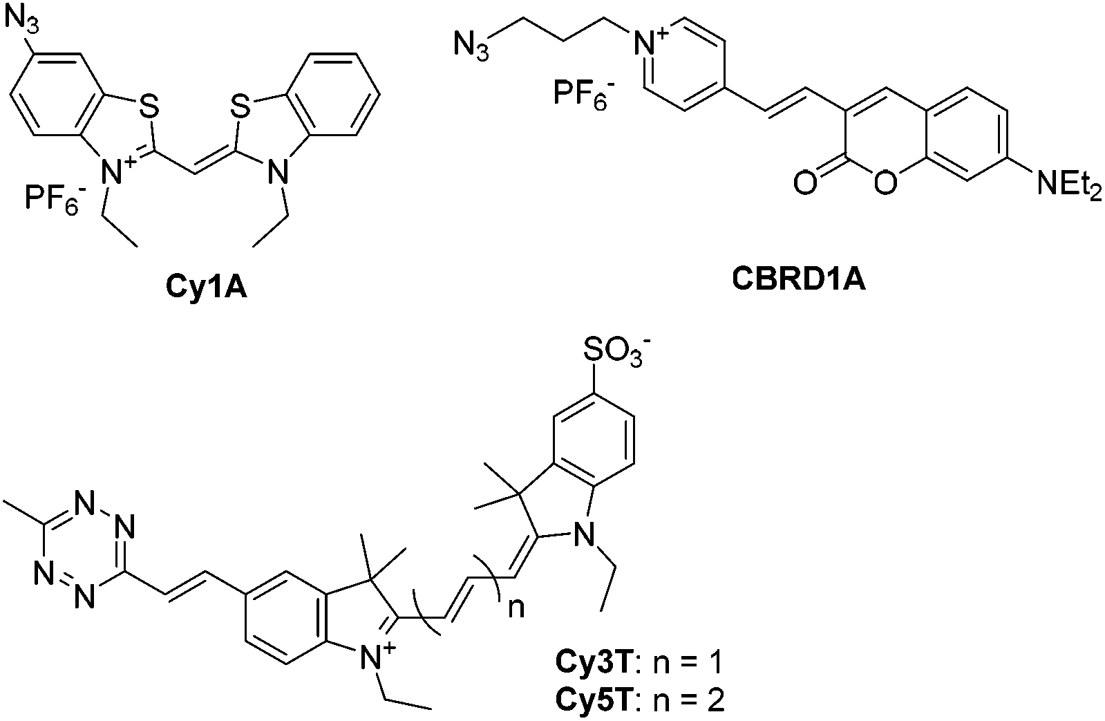 A rapid and concise setup for the fast screening of FRET pairs using ...