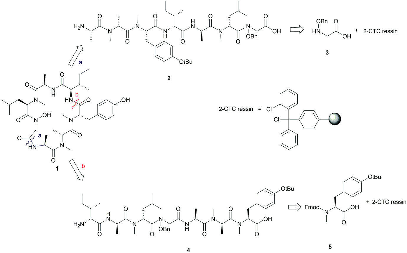 Total synthesis of the proposed structure of talarolide A - Organic ...