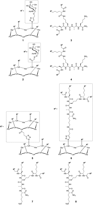 The study of multivalent carbohydrate–protein interactions by bio-layer ...