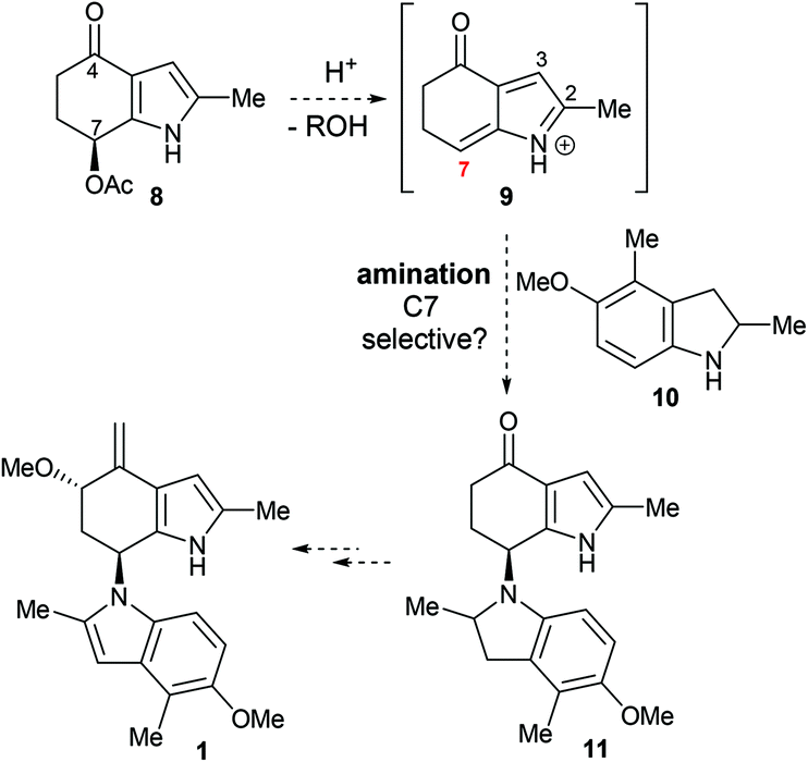 Biomimetic synthesis of the bisindole framework present in sciodole, an ...