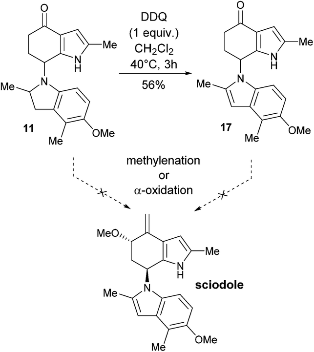 Biomimetic synthesis of the bisindole framework present in sciodole, an ...