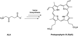 Chemical approaches for the enhancement of 5-aminolevulinic acid-based ...